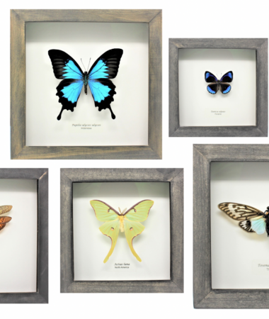 Artglass by Groglass - Invisible and UV protective glass